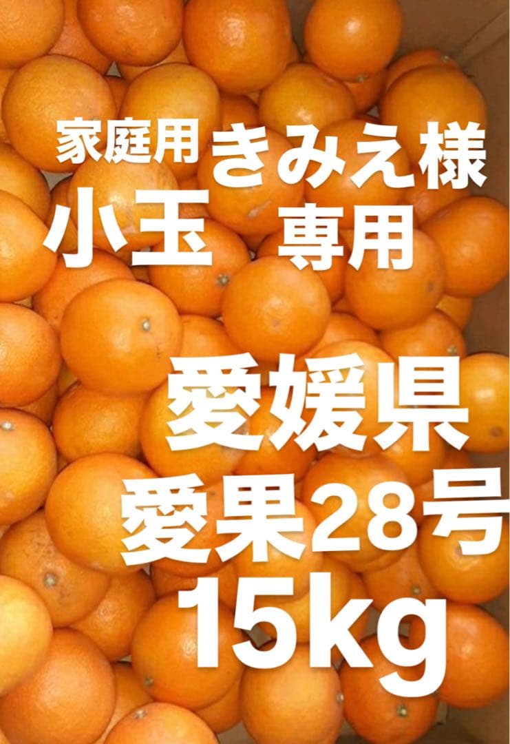 きみえ　北海道地方追加送料込み　愛媛県産　家庭用　愛果28号　15kg