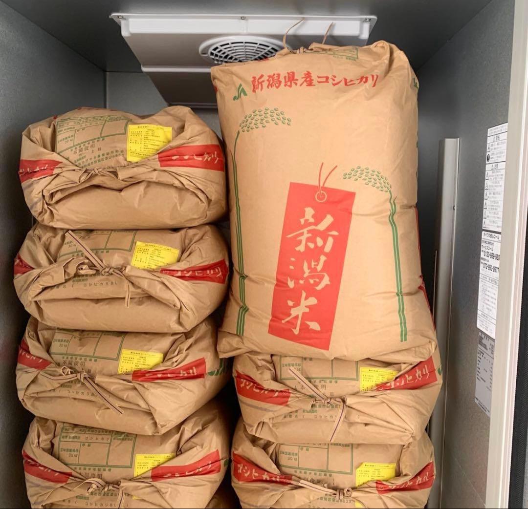 令和7年度産 コシヒカリ玄米 30kg