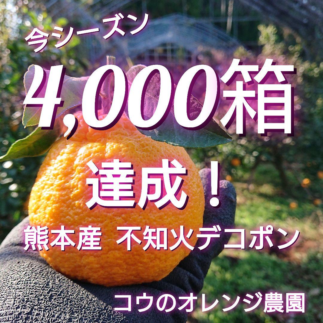 超お得な 18kg 熊本産不知火デコポン 味恋みかん 超人気(^o^)