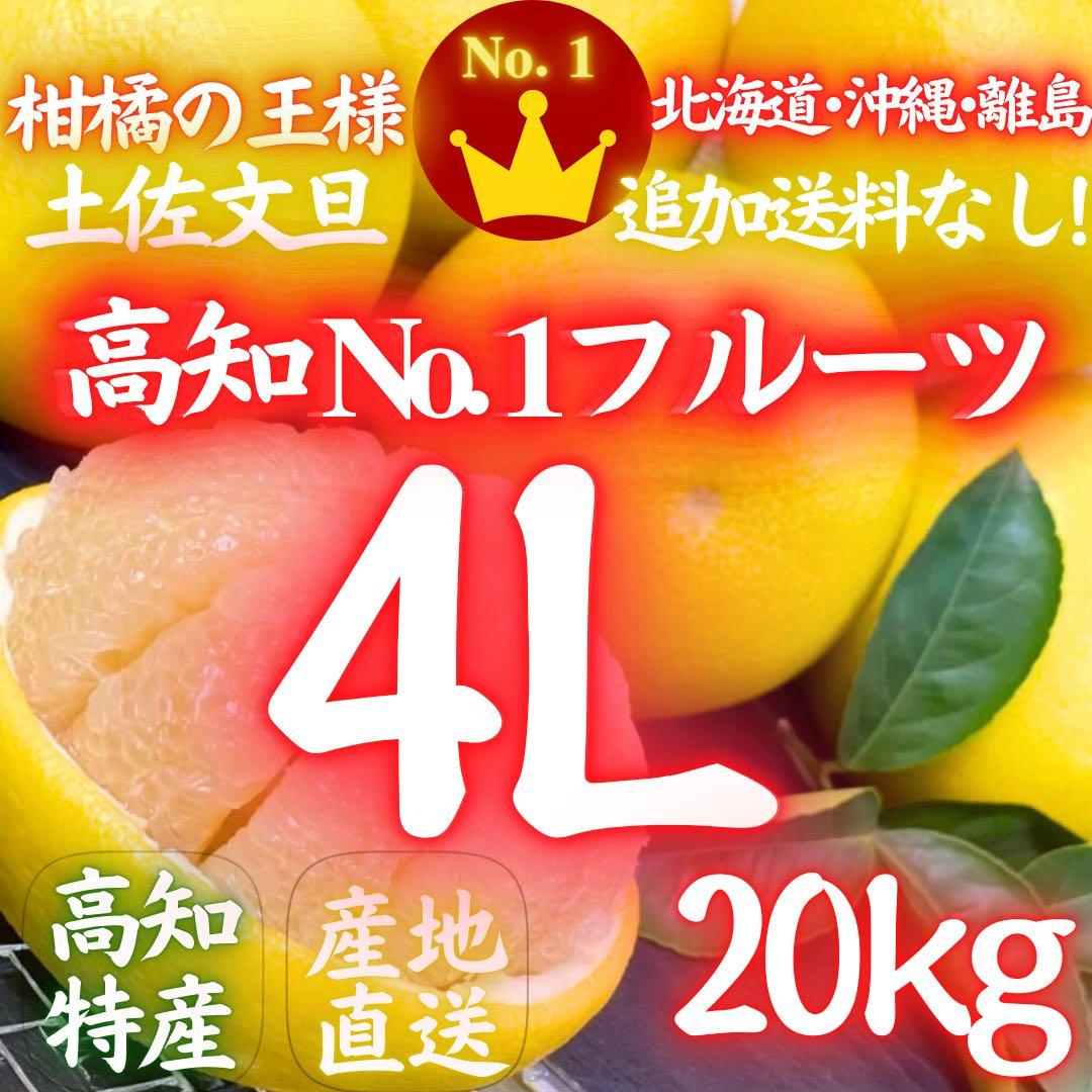 ⑱高知特産 露地栽培 土佐文旦 4L限定 文旦 約20kg 大玉 サイズ