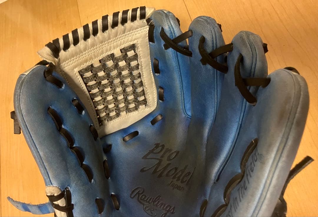 Rawlings 軟式グローブ ProModel soft leather