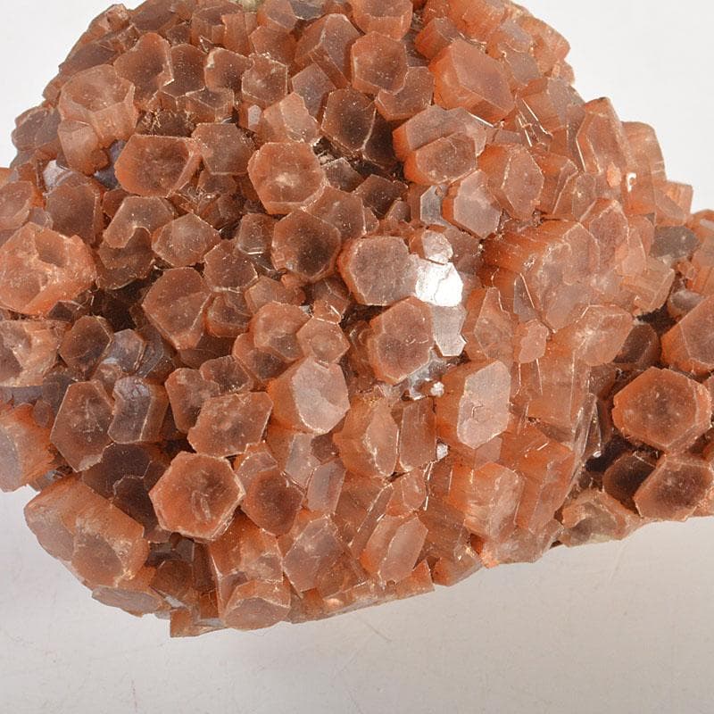 ALPACA PLATEADA Y　フクロウ　梟　置物　C　6772