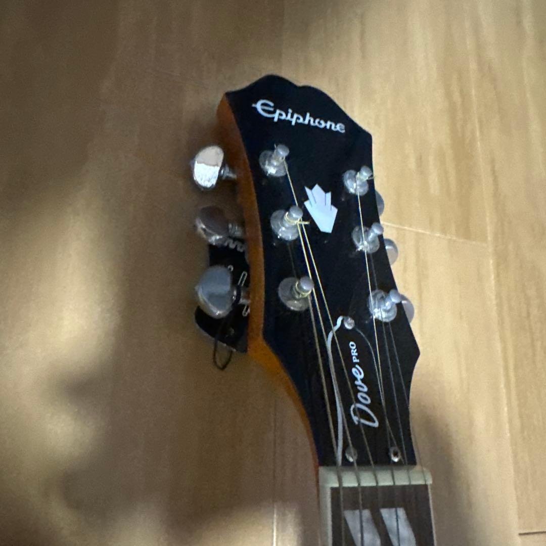 Epiphone / エピフォン Dove PRO/VB　エレアコ
