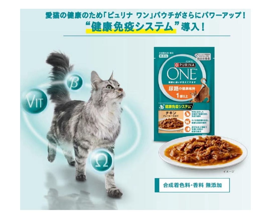 PURINA ONE 室内飼い猫用 チキン 50g×12ケース【120個】