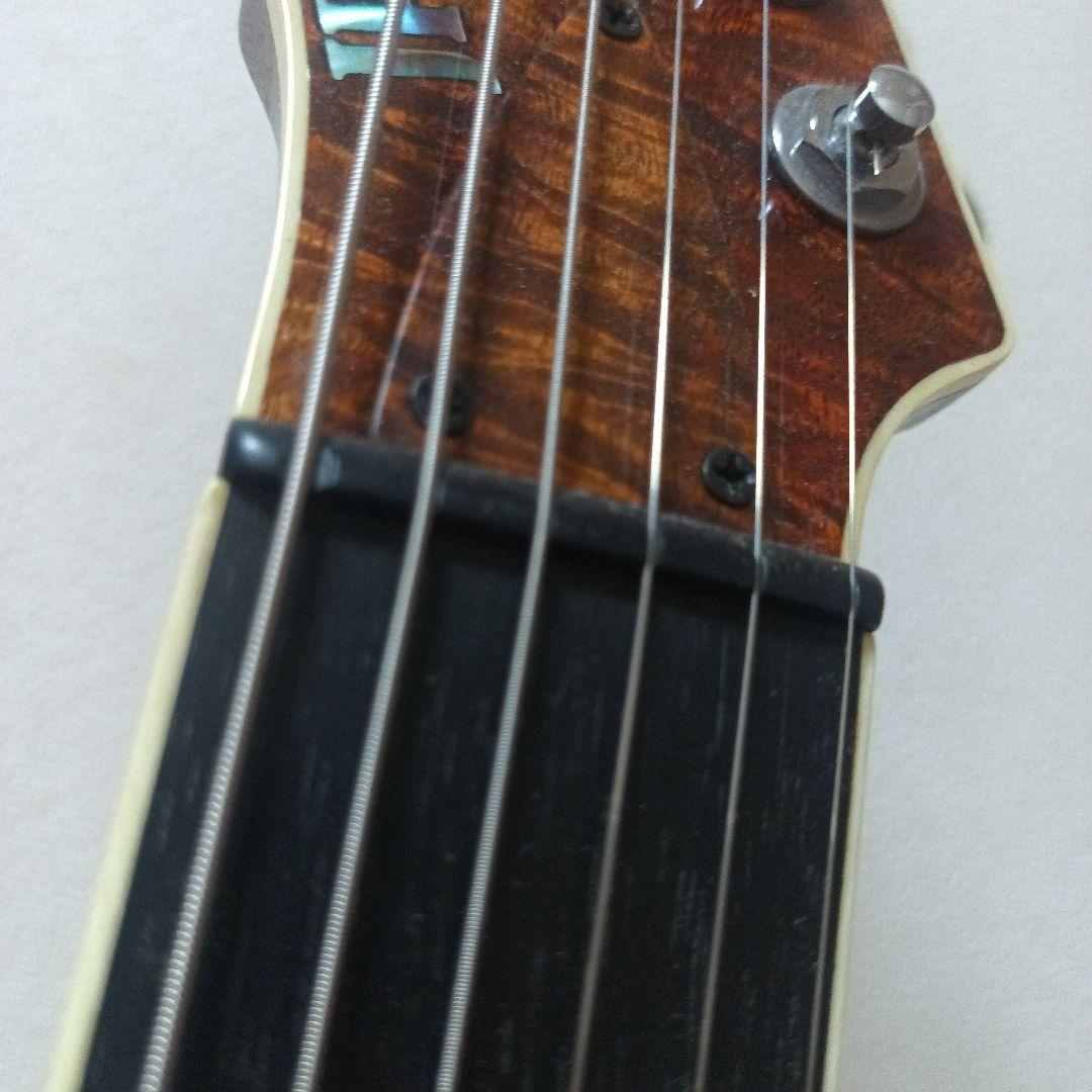 ギター Josh Parkin Guitars Custom Order