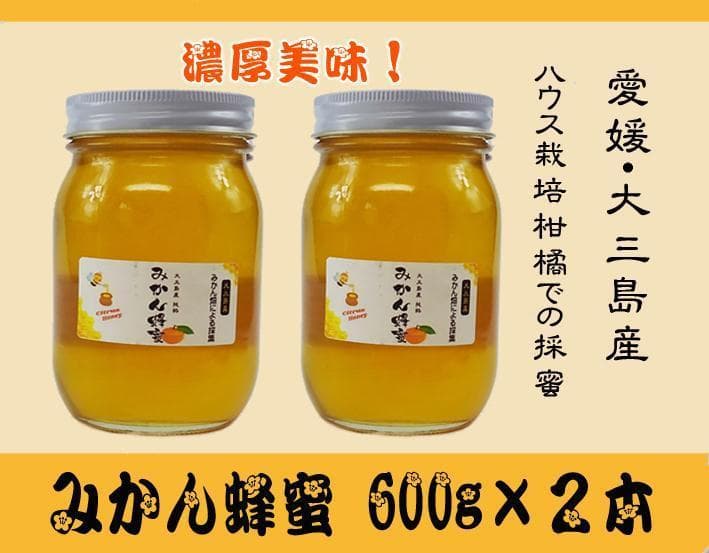 【かえるちゃん】600ｇ蜂蜜×５本　ジュースプレゼント