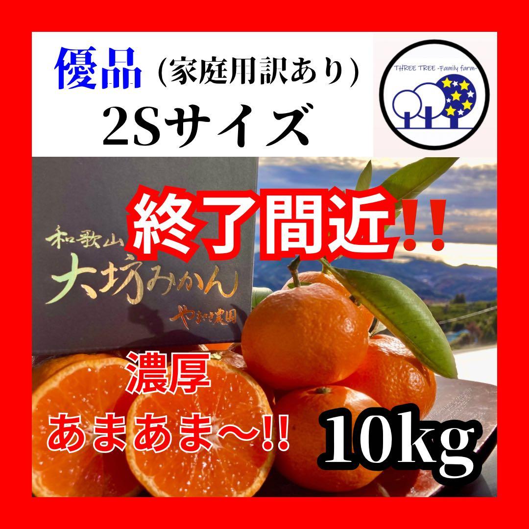 ⑤温州みかん 樹熟大坊みかん 優品(家庭用傷あり)2Sサイズ10kg