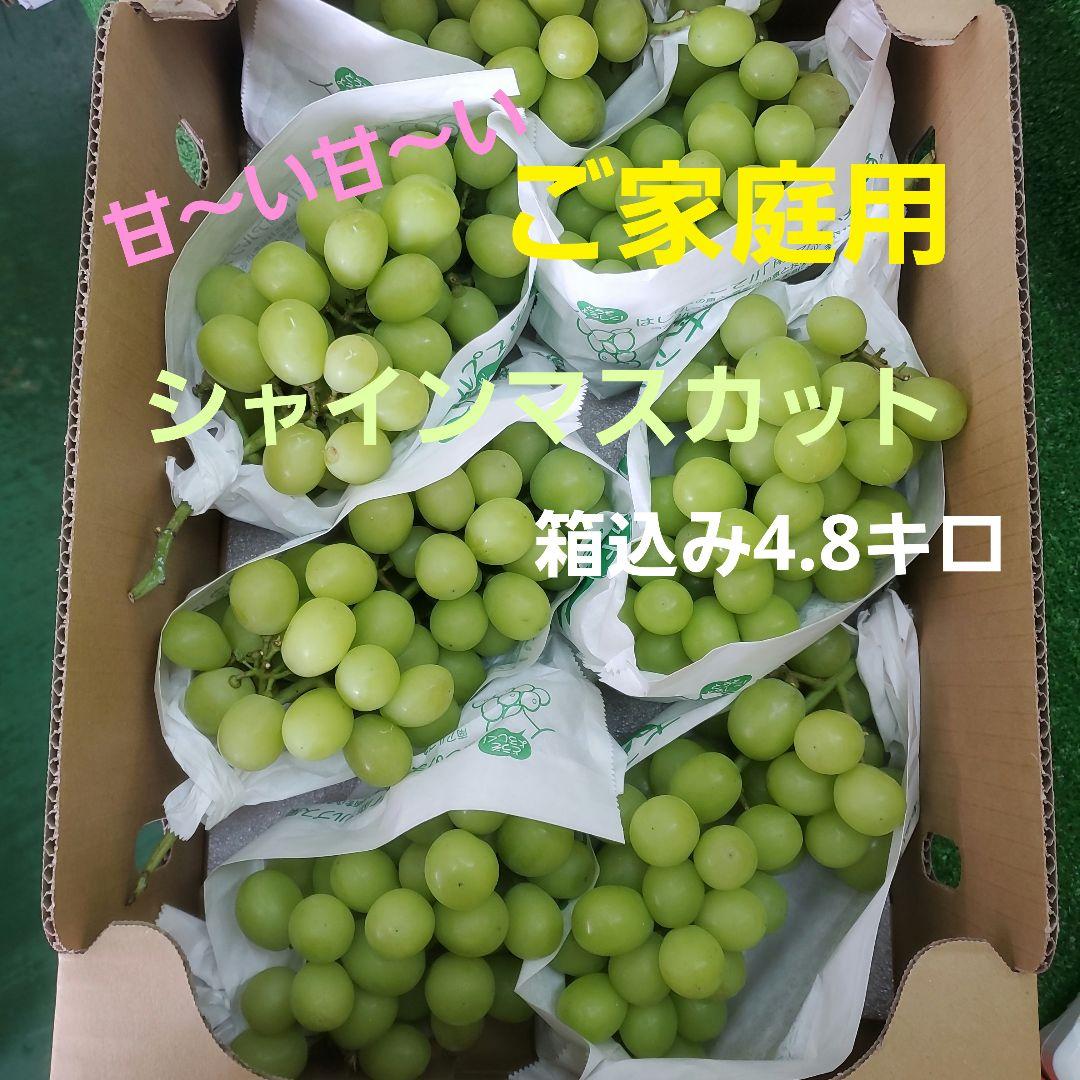 1⃣ 山梨県産 シャインマスカット ７房入り 箱込み4.8キロ