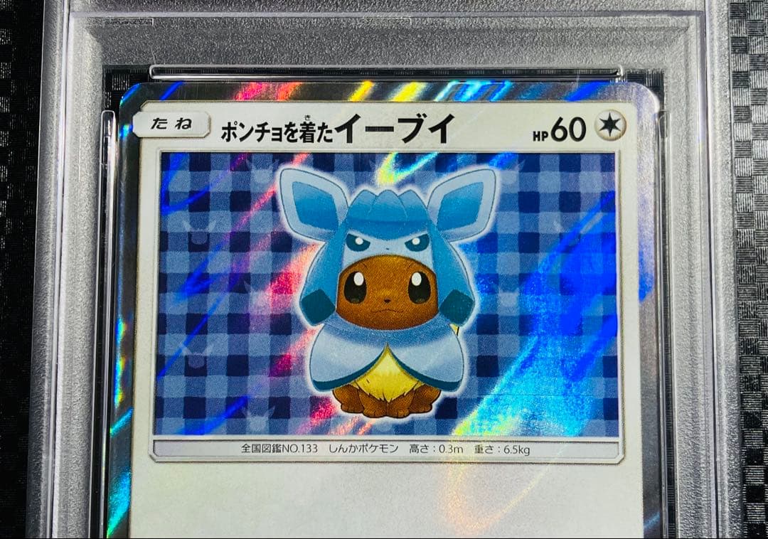 【PSA10】ポンチョを着たイーブイ （グレイシア）プロモ ポケモンカード