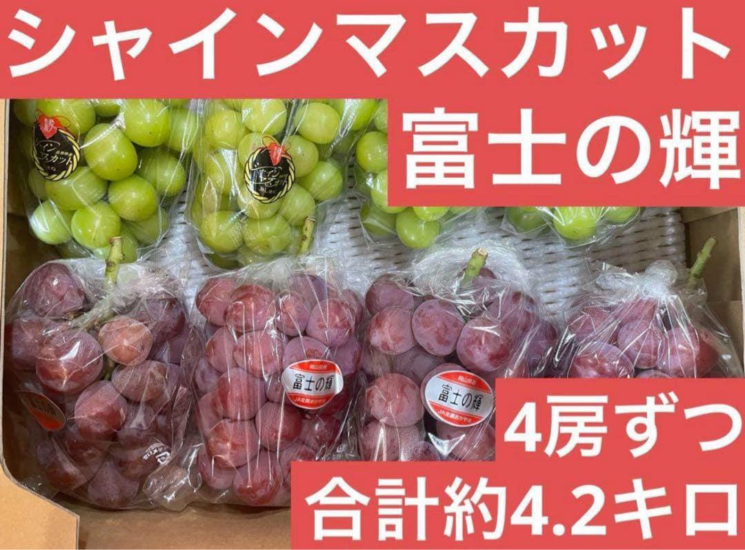 11 【島根県産】 シャインマスカット4房 【岡山県産】 富士の輝　4房