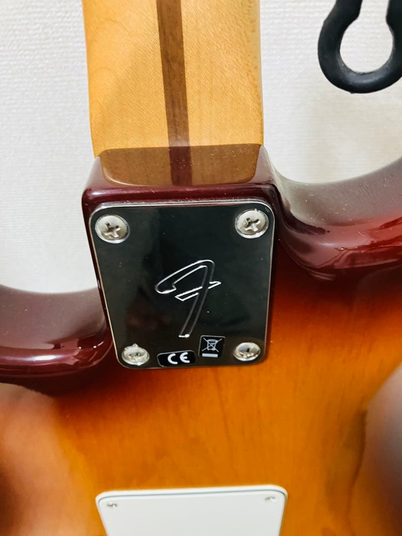 ギター Fender Mexico PLAYER START PLS TOP PF