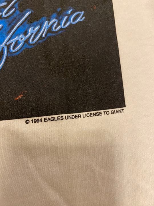 EAGLES HELL FREEZES OVER 1995 Tシャツ L 90s