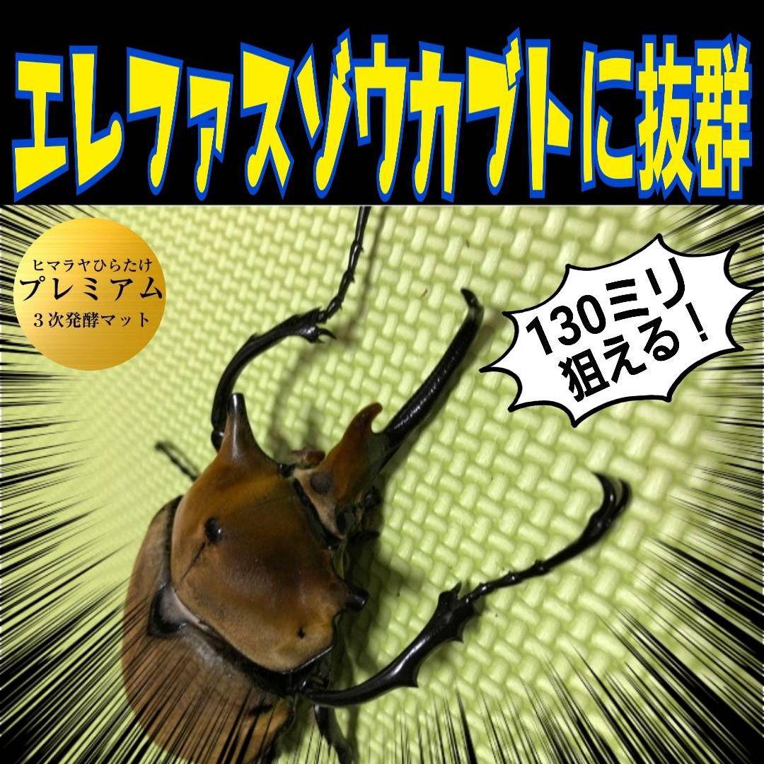 カブトムシ幼虫が大きくなる！プレミアム発酵マット50L特殊アミノ酸配合！産卵にも
