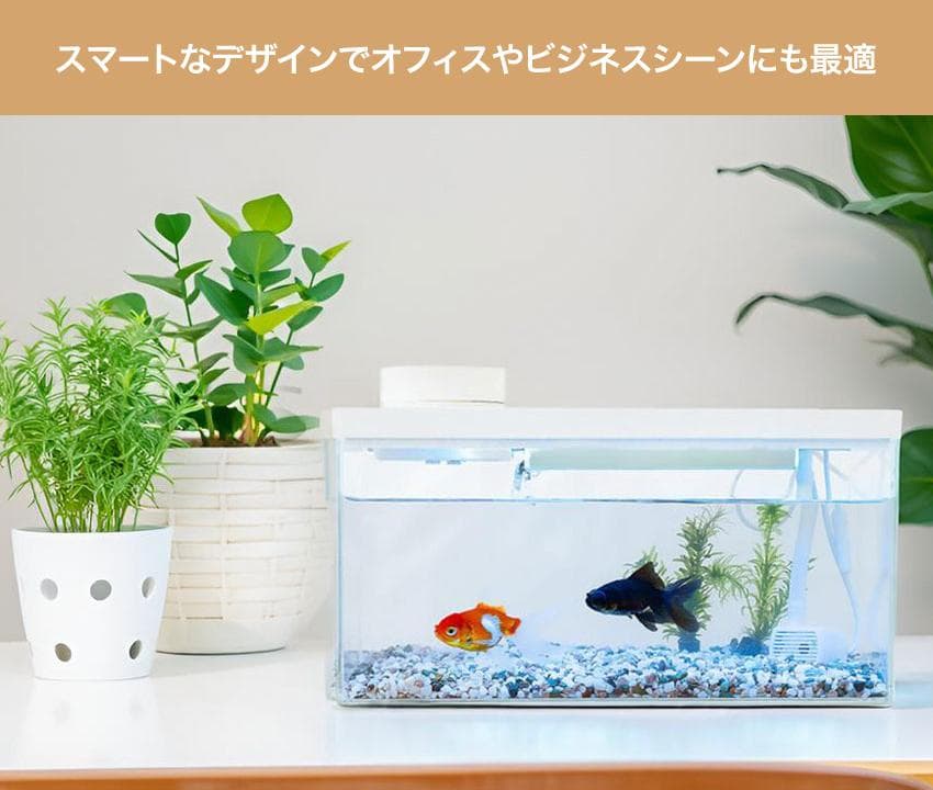 【オールインワン】スマートガラス水槽 Fish-α3 LED照明・自動給餌機能