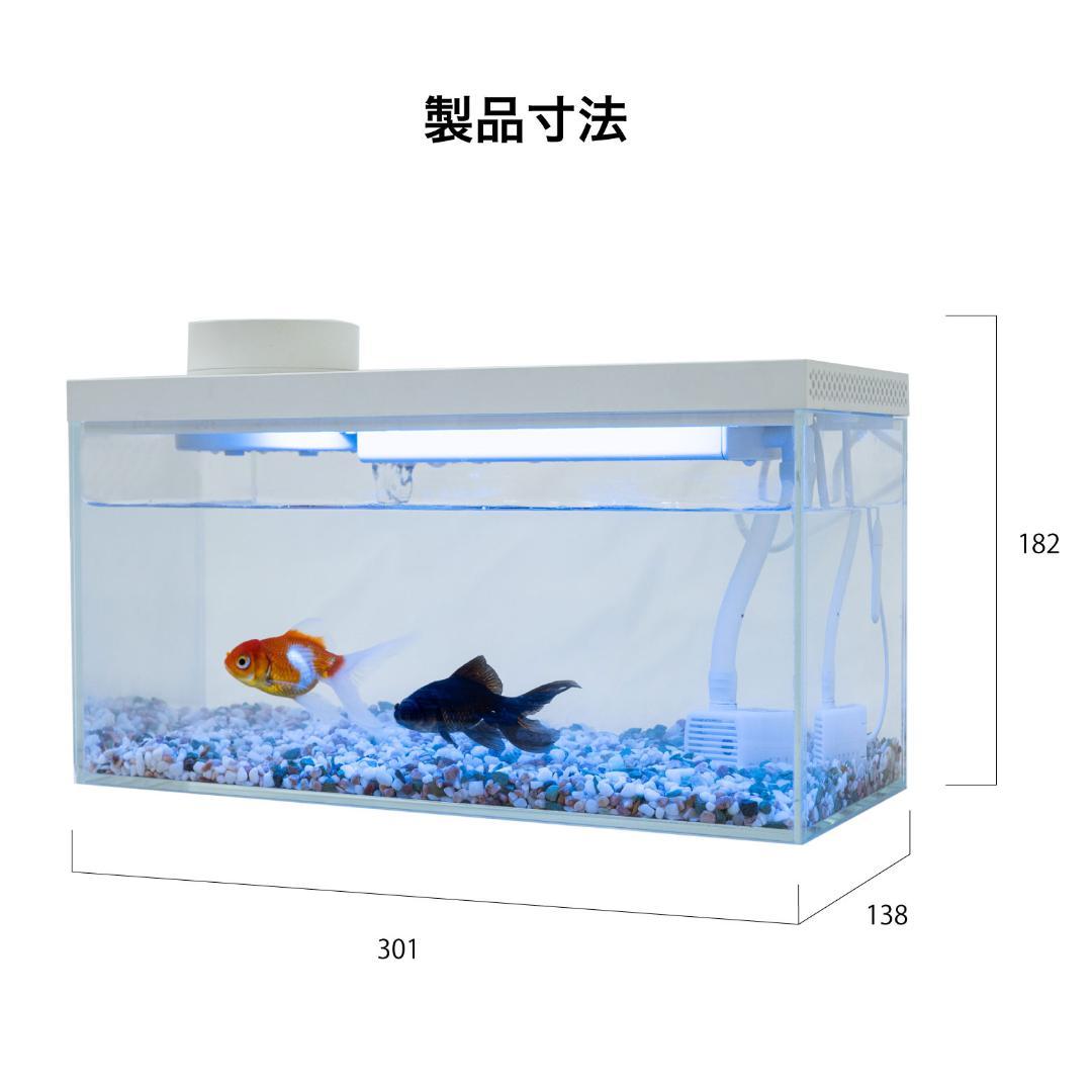 【オールインワン】スマートガラス水槽 Fish-α3 LED照明・自動給餌機能