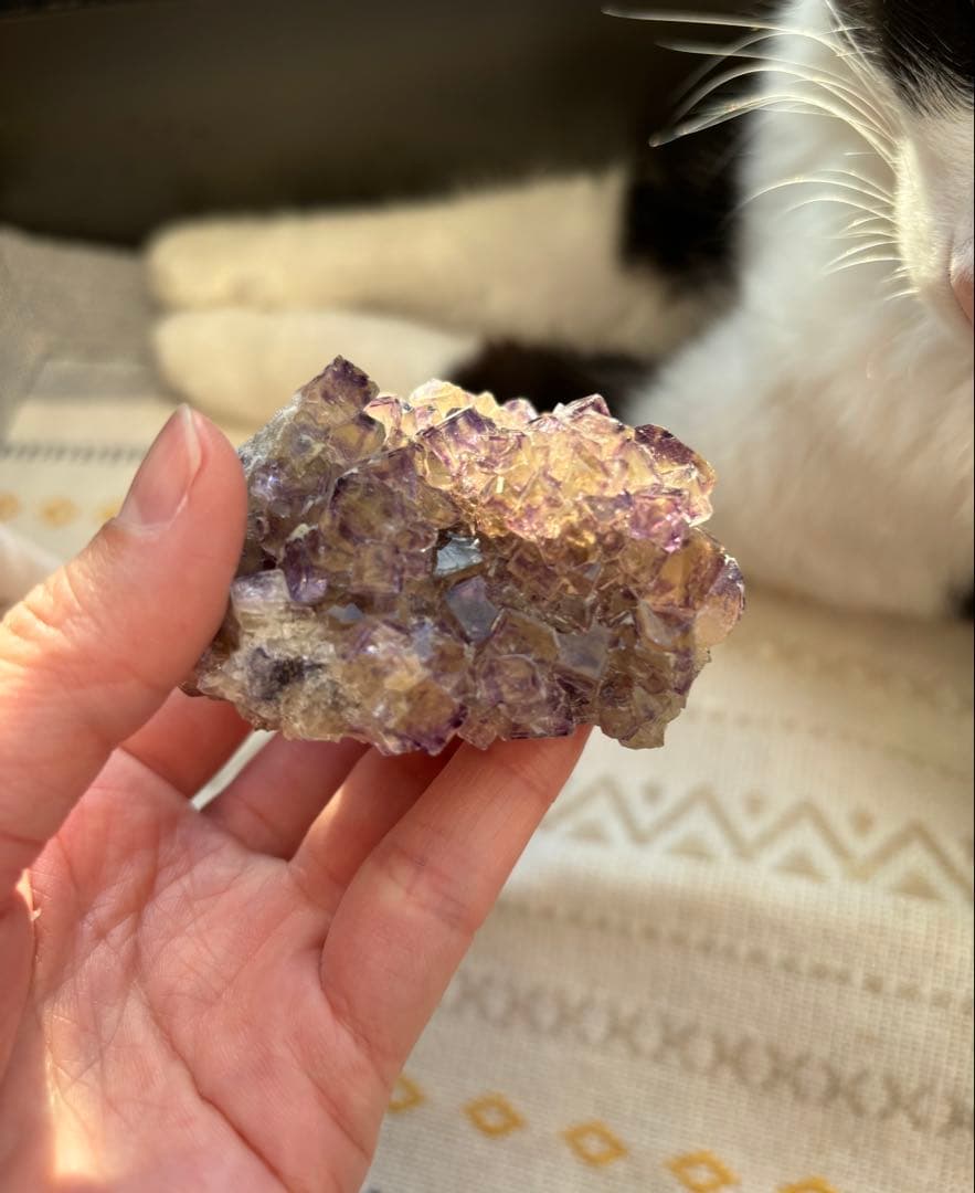 ナミビア オコルス フローライト