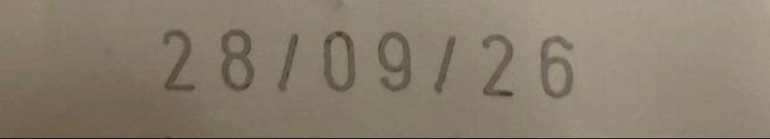  CANIN プロフェッショナル マキシ パピー 16キロ