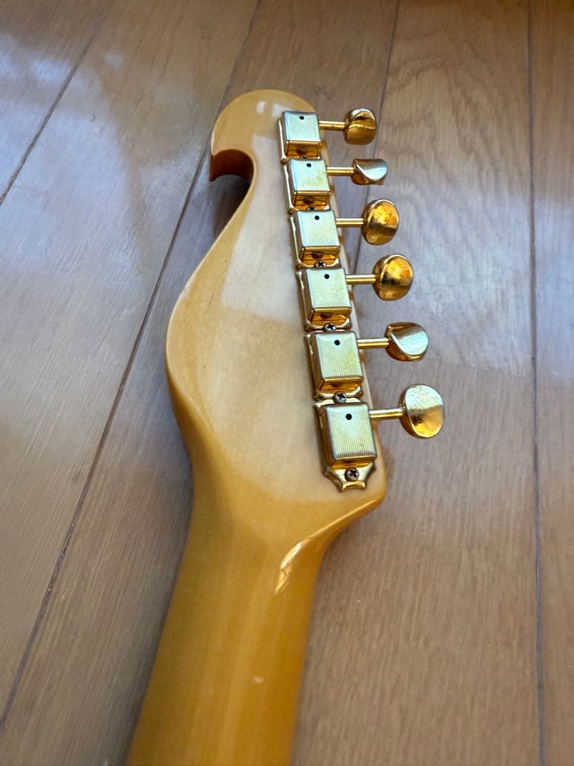 ✨レア美品中古✨Bill Lawrence OBC0 R-55G改 シャケモデル