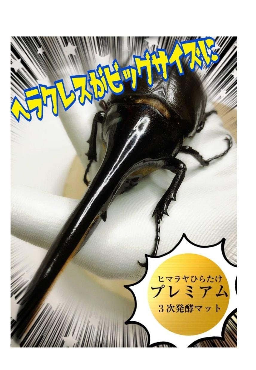 幼虫がビックになる！極上☆プレミアム発酵カブトムシマット【50L】産卵にも抜群！