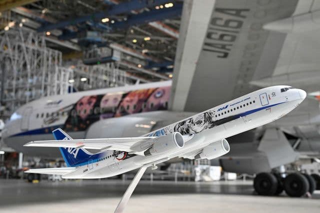 【非売品】鬼滅の刃　ANA 飛行機　特別デザイン機
