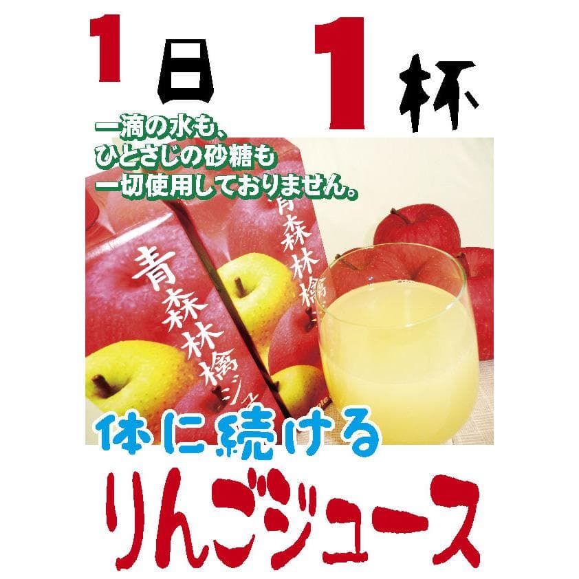 果汁100%アップルメイトりんごジュース1000ml紙パック3本入4箱/計12