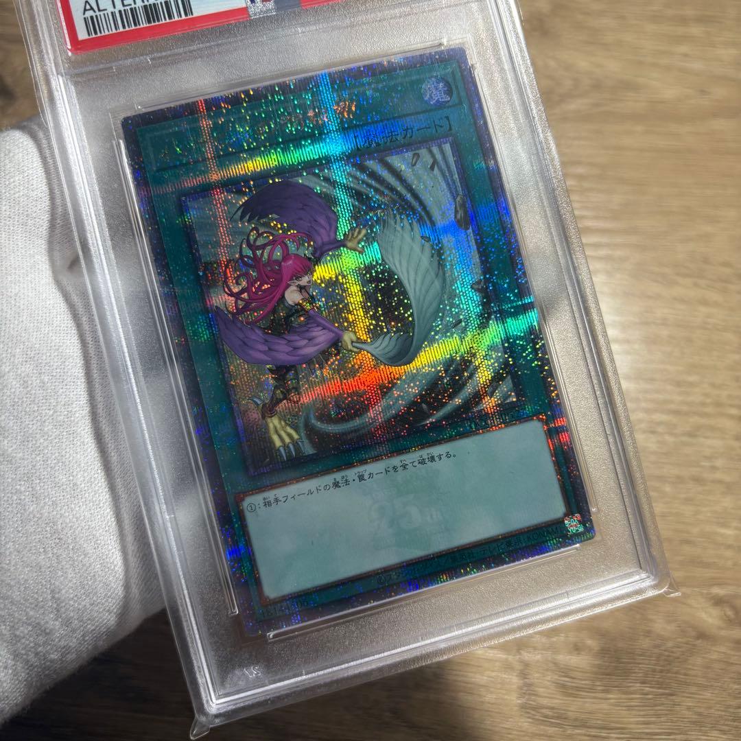 【 鑑定品 PSA10 】　極美品　ハーピィの羽根帚 25th クオシク 絵違い