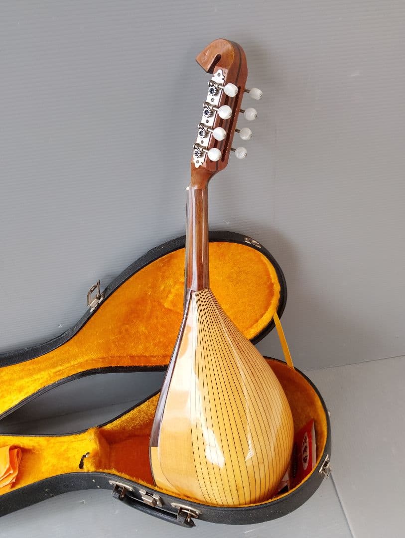 マンドリン監修者: 野口 実(あ13)