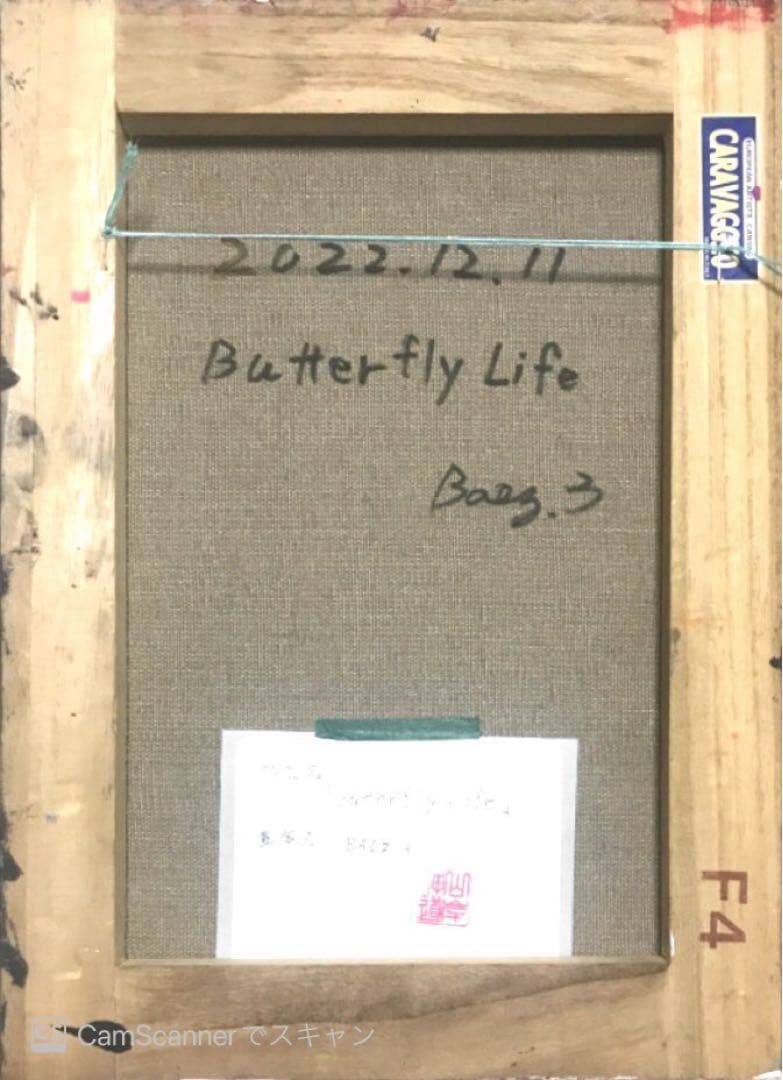 Butterfly Life USA 蝶々　キャンバスF4号