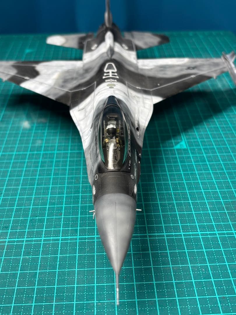 ムスタング様　1/48 タミヤF-16CN