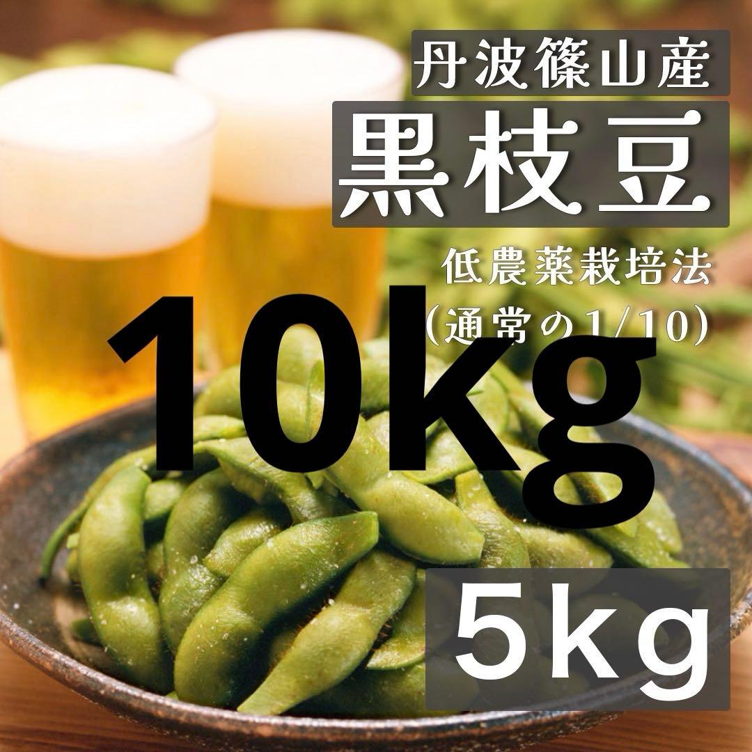 10kg 黒枝豆