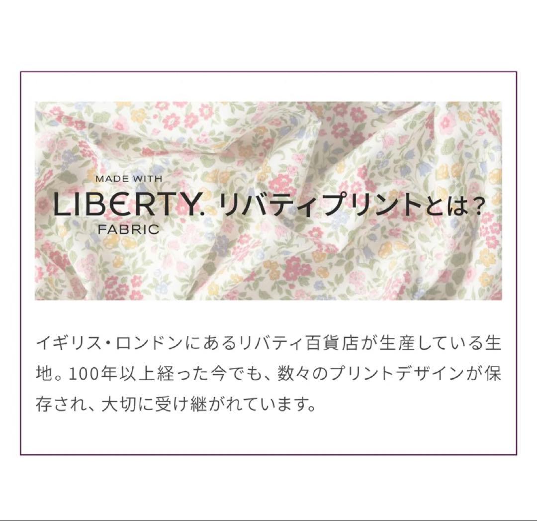 【大人気】エアバギー純正コーナークッション限定品リバティ バニラ 新品未使用