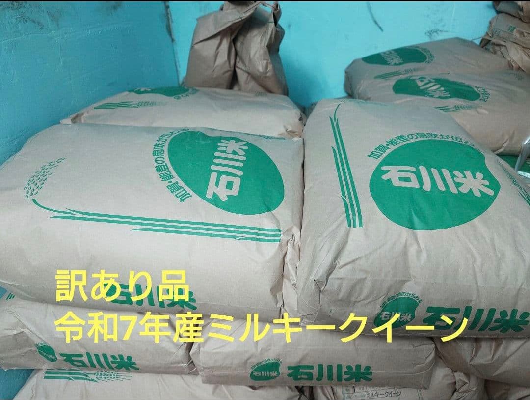 【訳あり】令和7年　石川県産　ミルキークイーン　玄米30キロ