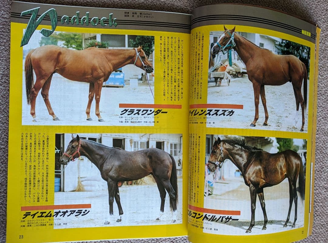 第49回 毎日王冠　優勝馬サイレンススズカ馬券、ぬいぐるみ等セット