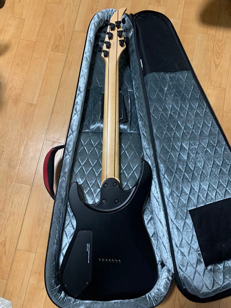 ギター　Caparison Dellinger7 キャパリソン　アクリルピック付