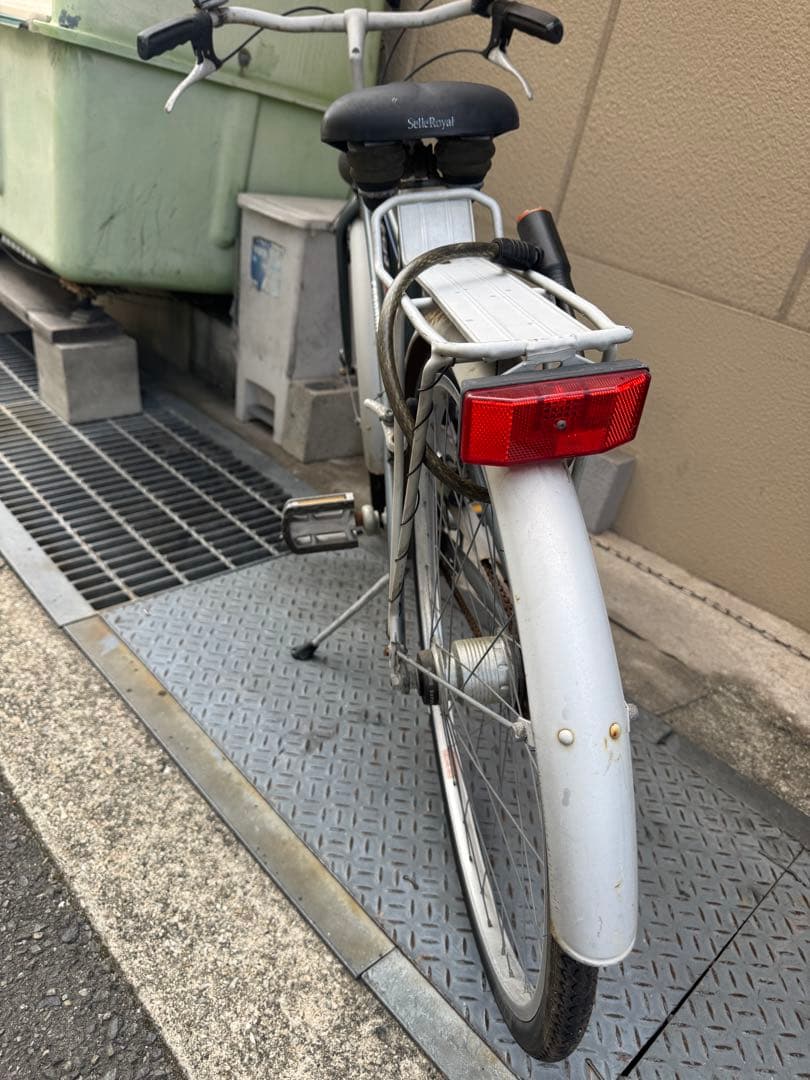 アイルトンセナ自転車