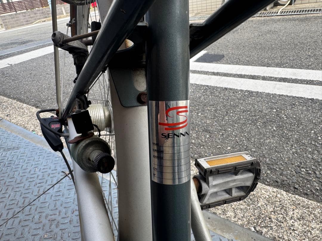 アイルトンセナ自転車