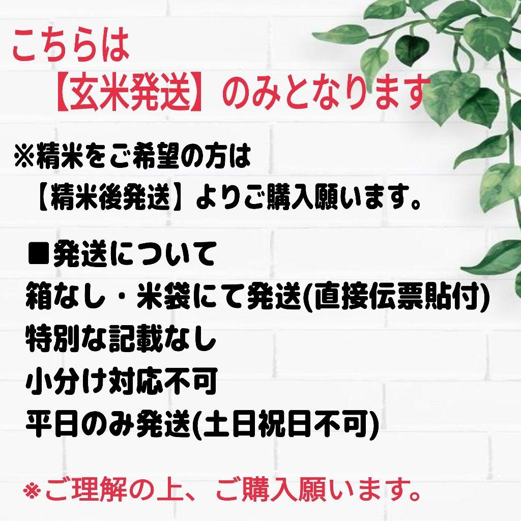 【玄米発送】令和7年産 茨城県産 新米 コシヒカリ 玄米 20Kg 20キロ ①