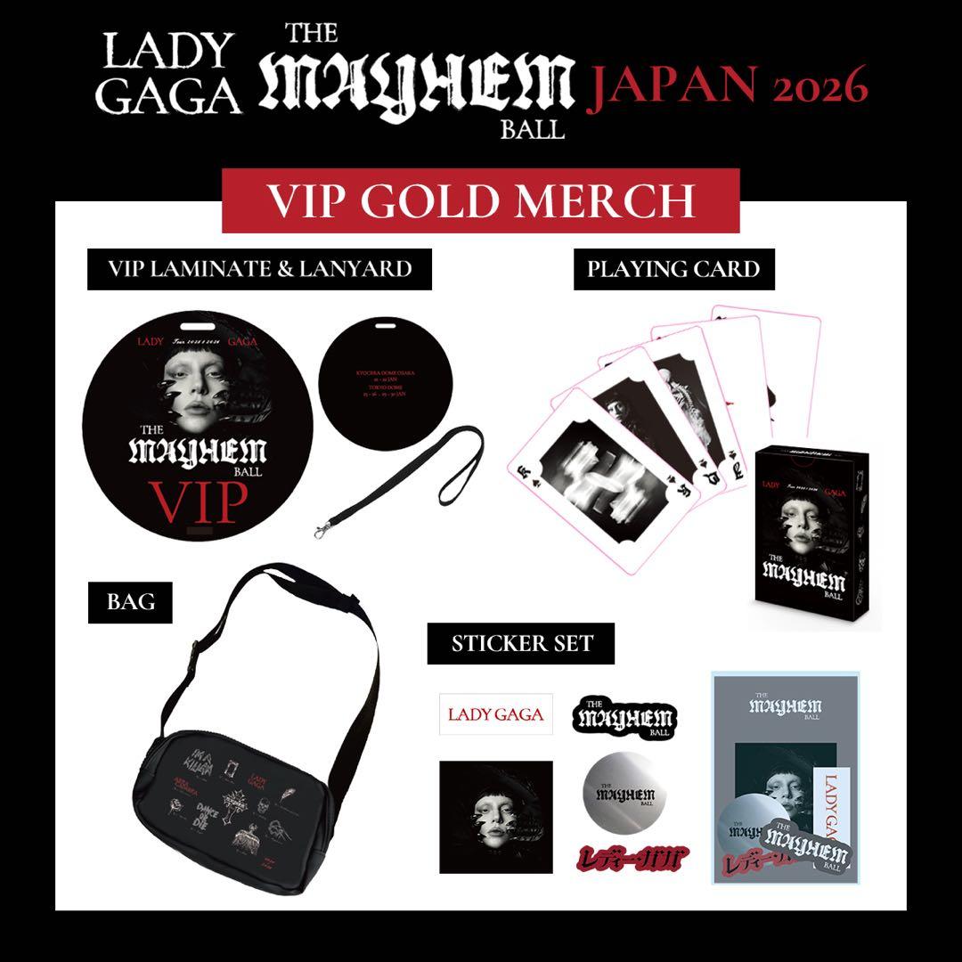 Lady Gaga VIP Gold ガガ グッズ ファブリックポスター以外全部