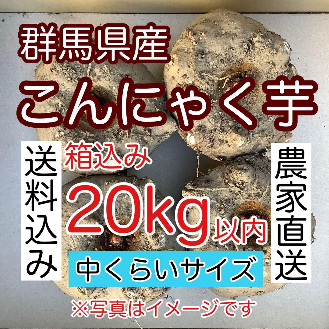 【群馬県産】こんにゃく芋　箱込み20kg以内　手作りこんにゃく用【中サイズ】