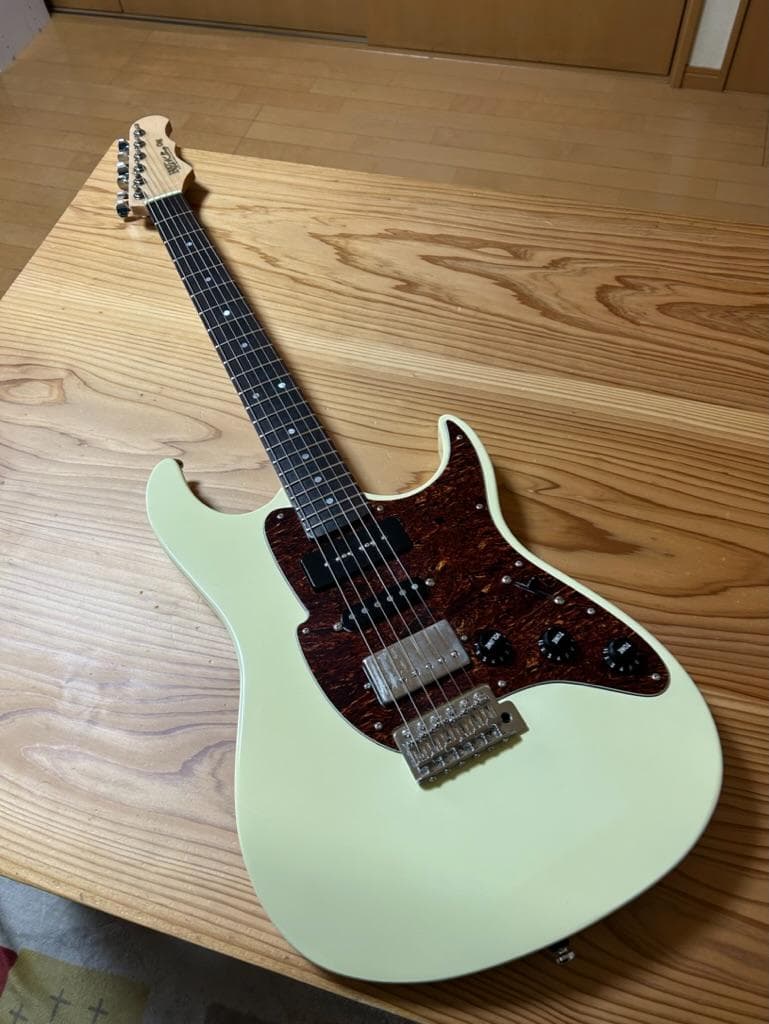 英国 Fret-King FKV6GW fender ギター ストラトキャスター