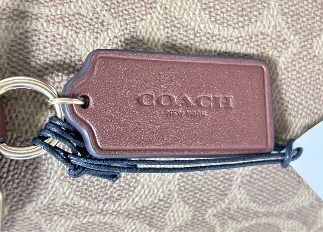COACH コレクティブル ベア・シグネチャーキャンバス　ラージ