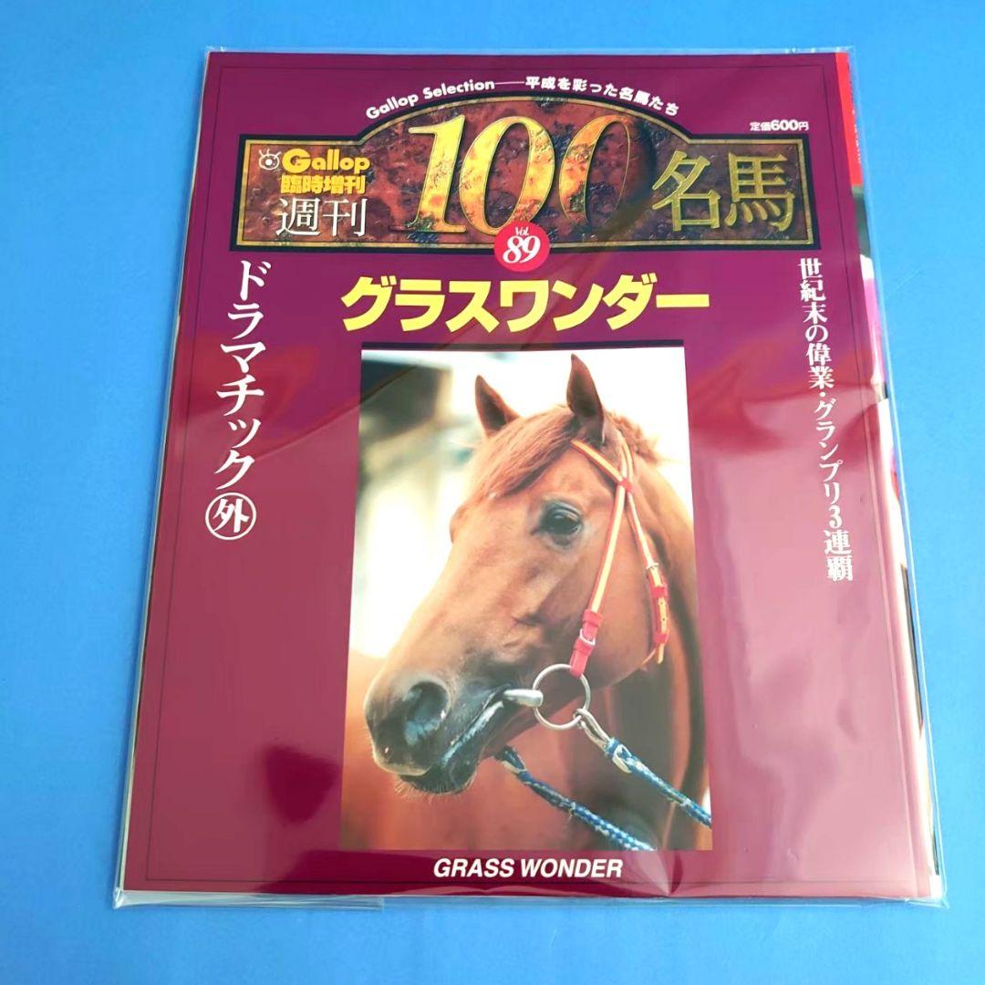 【稀少】グラスワンダー ぬいぐるみ朝日杯ウマ娘競馬アイドルホース 馬AVANTI