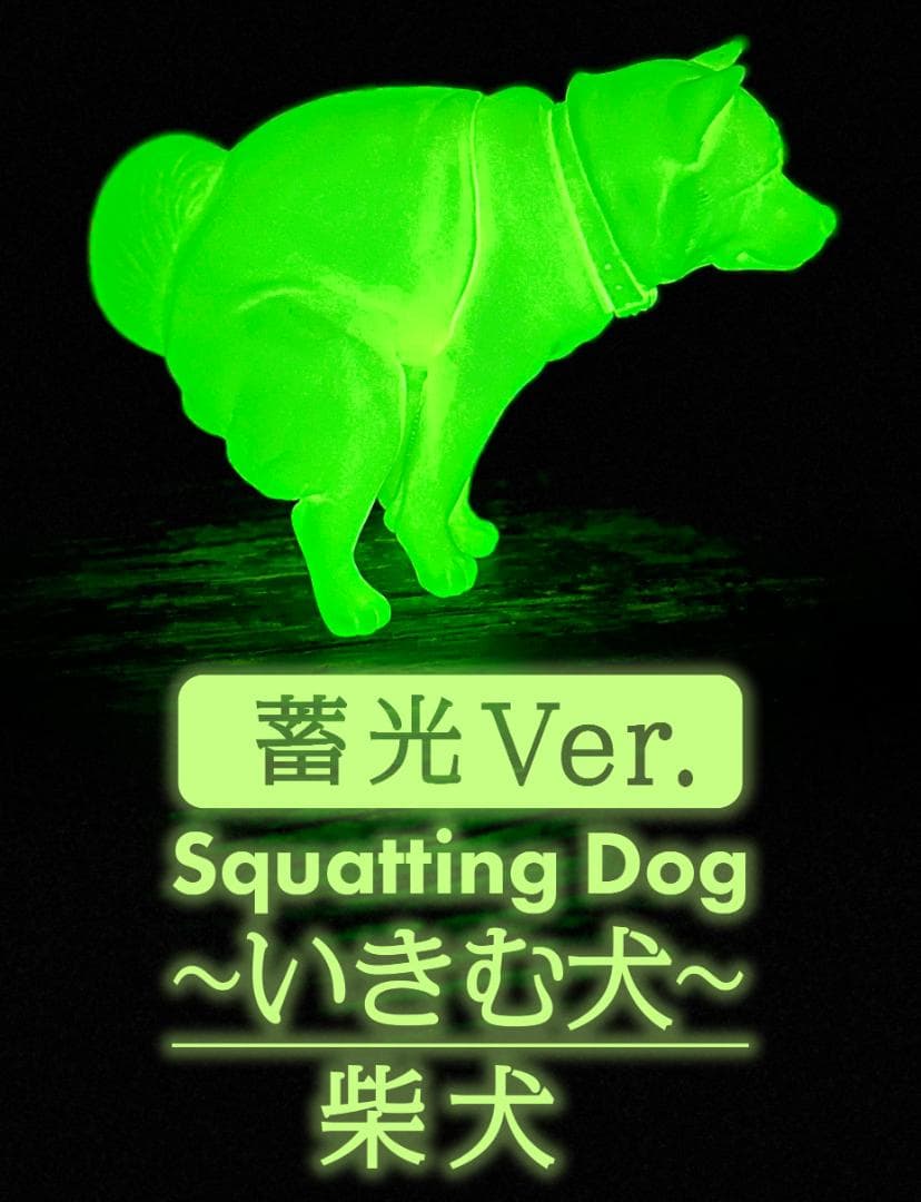 【極美品】【蓄光ver.】Squatting いきむ犬 PVCフィギュア　柴犬