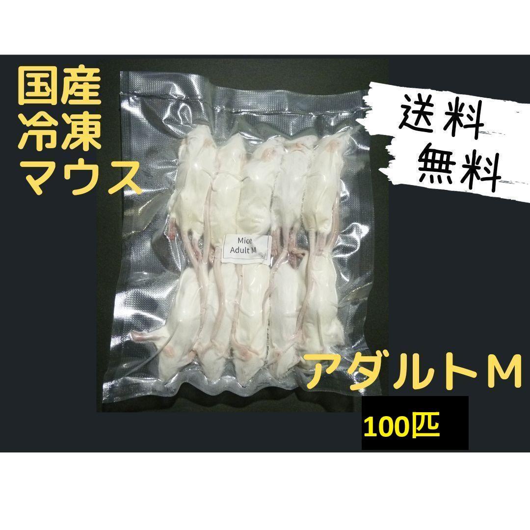 国産冷凍マウス アダルトM 100匹(送料無料一部地域発送不可)