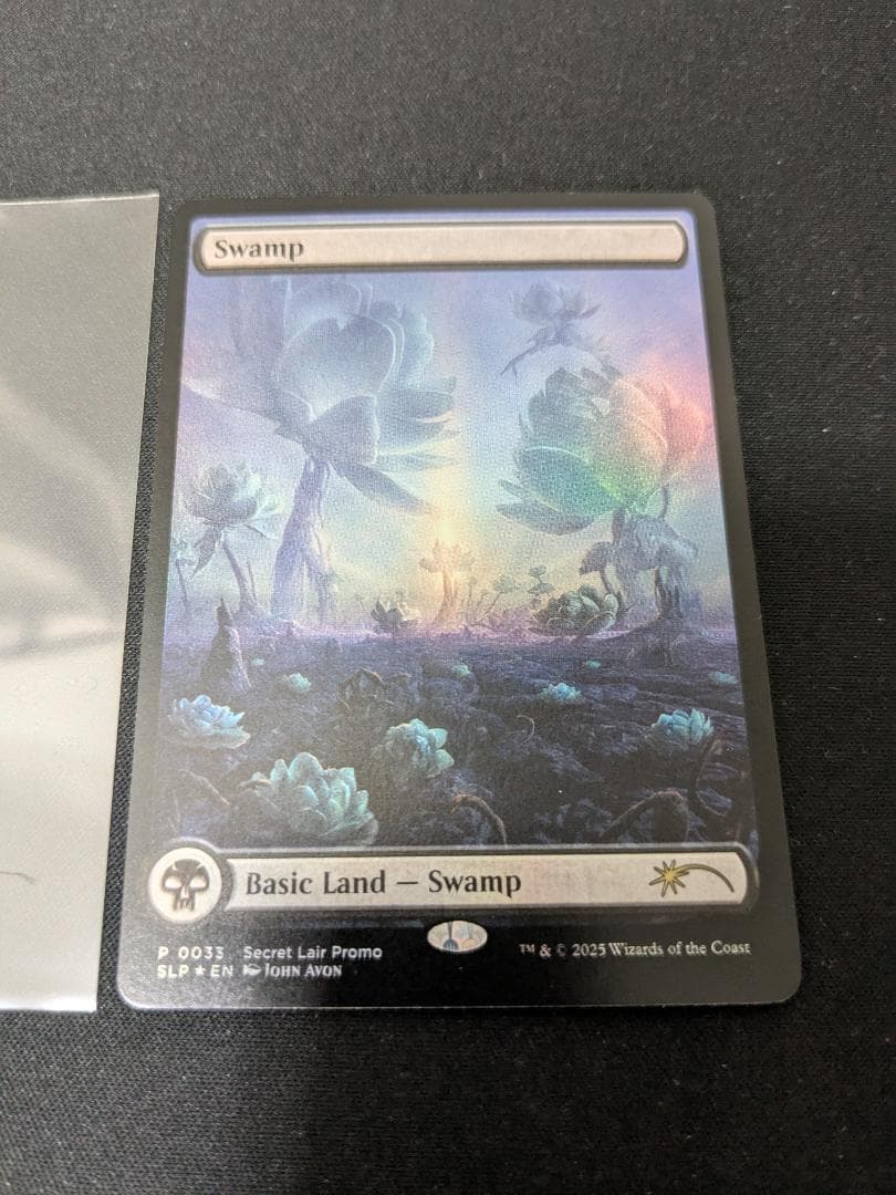 MTG 沼/Swamp Foil John Avon Secret Lair