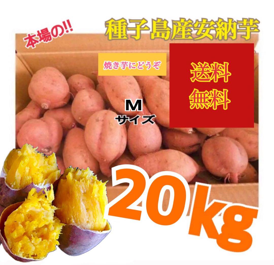 安納芋種子島産　Mサイズ20kgさつまいも 安納芋紅　#2021