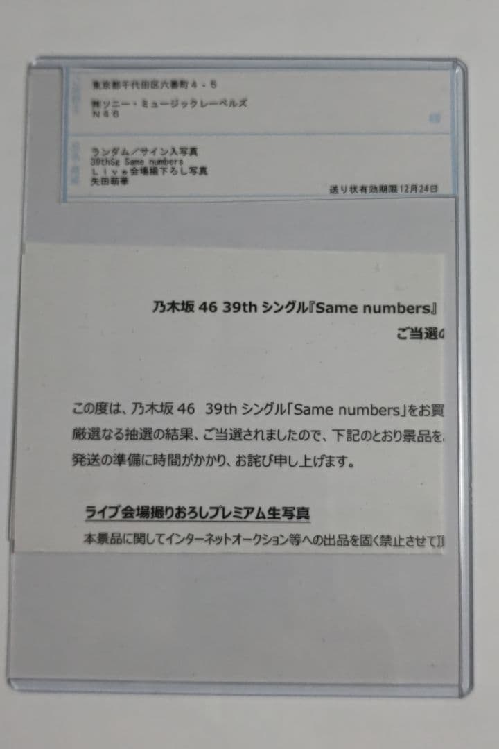 乃木坂46　矢田萌華　サイン入りプレミアム生写真　39thライブ会場撮り下ろし
