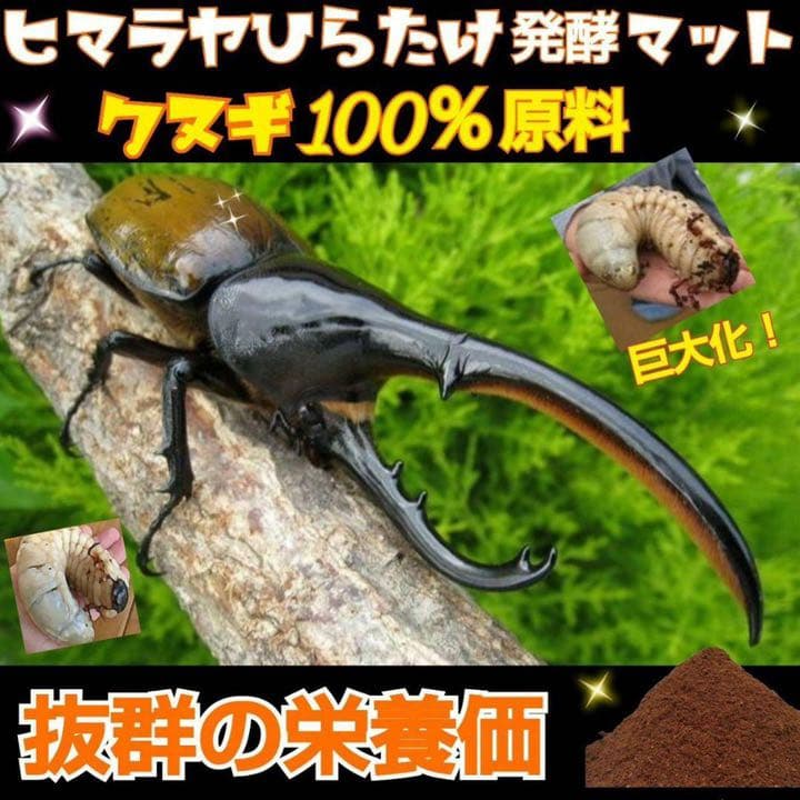 カブトムシ幼虫の大量飼育に！たっぷり100リットル【10袋】高品質の発酵マット