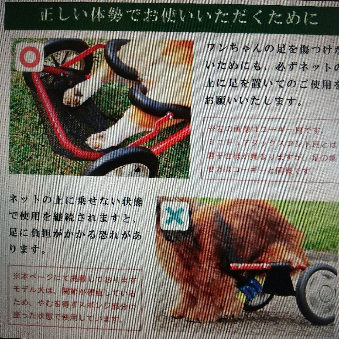犬用車いす ミニチュアダックス専用 新品