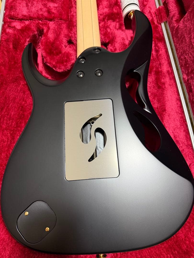 ギター Ibanez PIA3761 XB Onyx Black Steve Vai